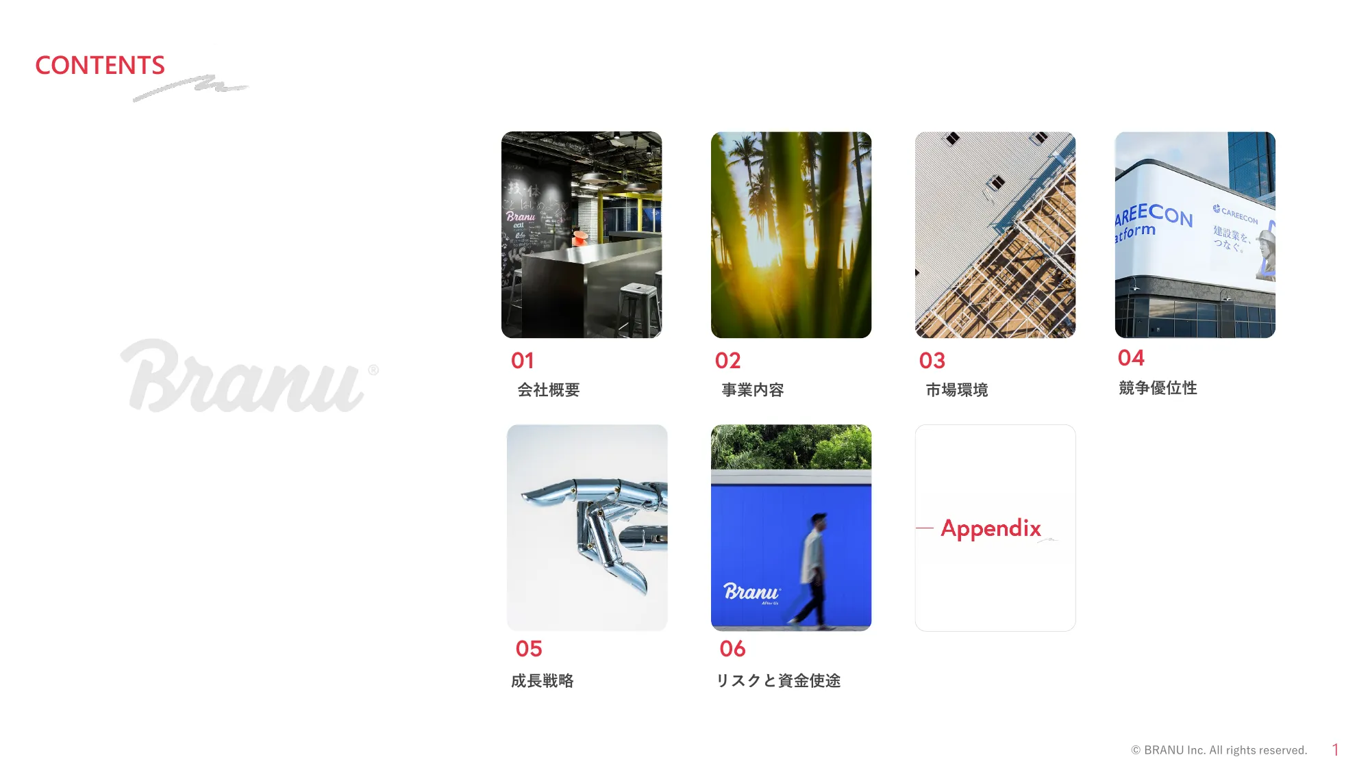 Explanatory Materials Regarding Business Plans and Growth Potential ...